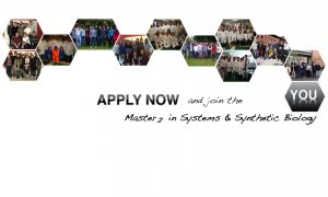 Program Overview – mSSB