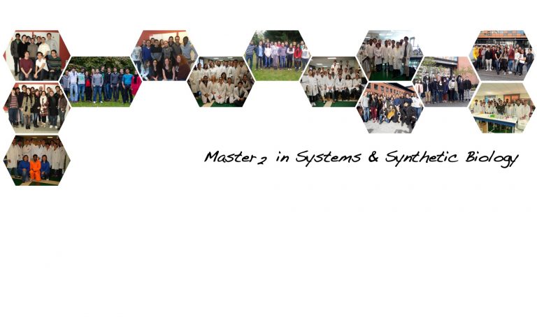 mSSB – Master 2 in Systems & Synthetic Biology